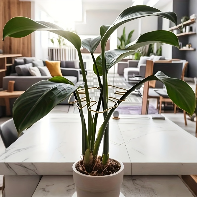 climbing plants trellis sold on Temu New Zealand