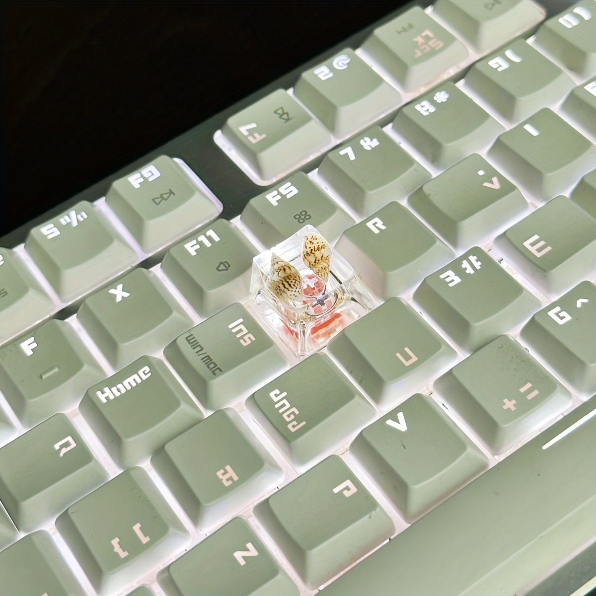Minimalist Sea Shell Design Abs Keycaps, Oem Profile Mechanical ...