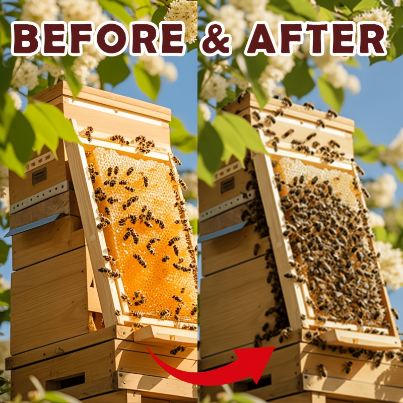honey bee supplies sold on Temu United States