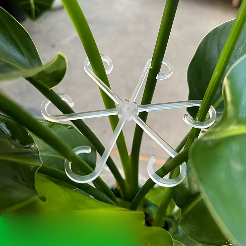 gardening essentials sold on Temu United States