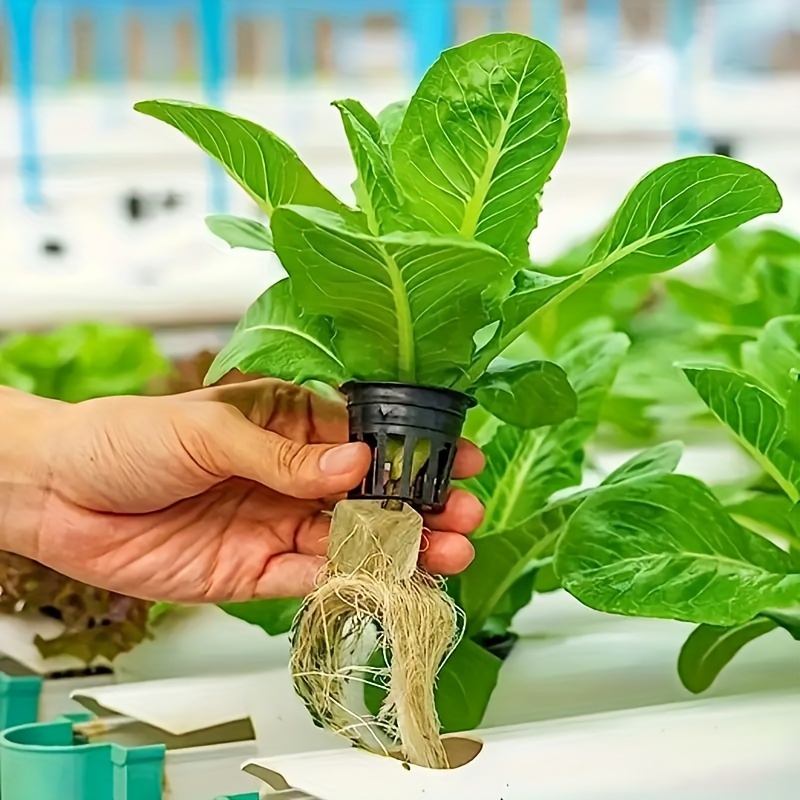 Starter Grow Cubes Hydroponics Starting Plant Propagation - Temu South ...