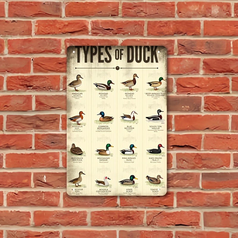 Types Ducks Metal Tin Sign Informative - Temu