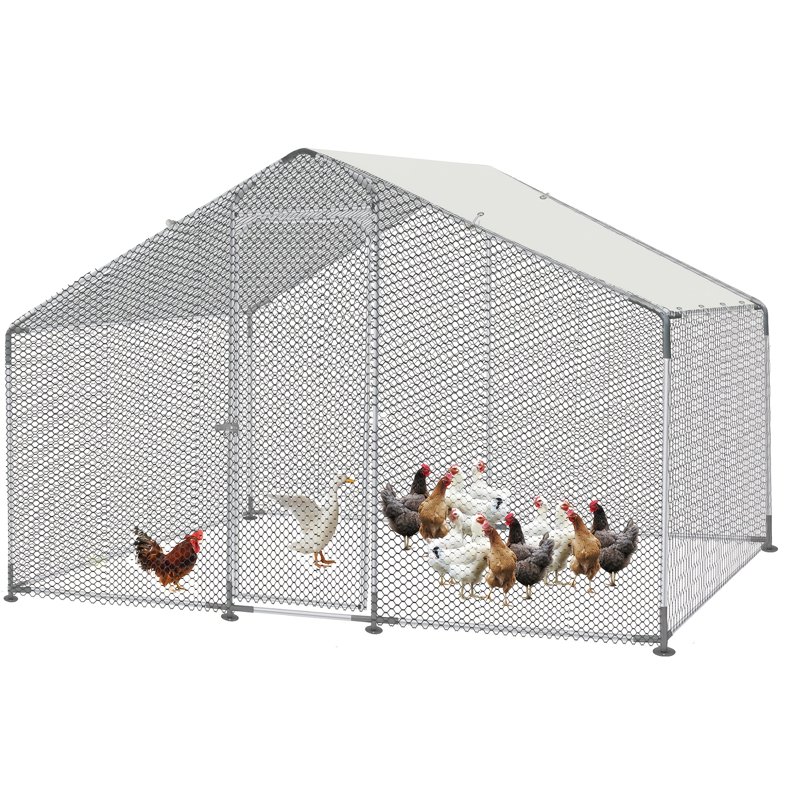 chicken coop sold on Temu United States