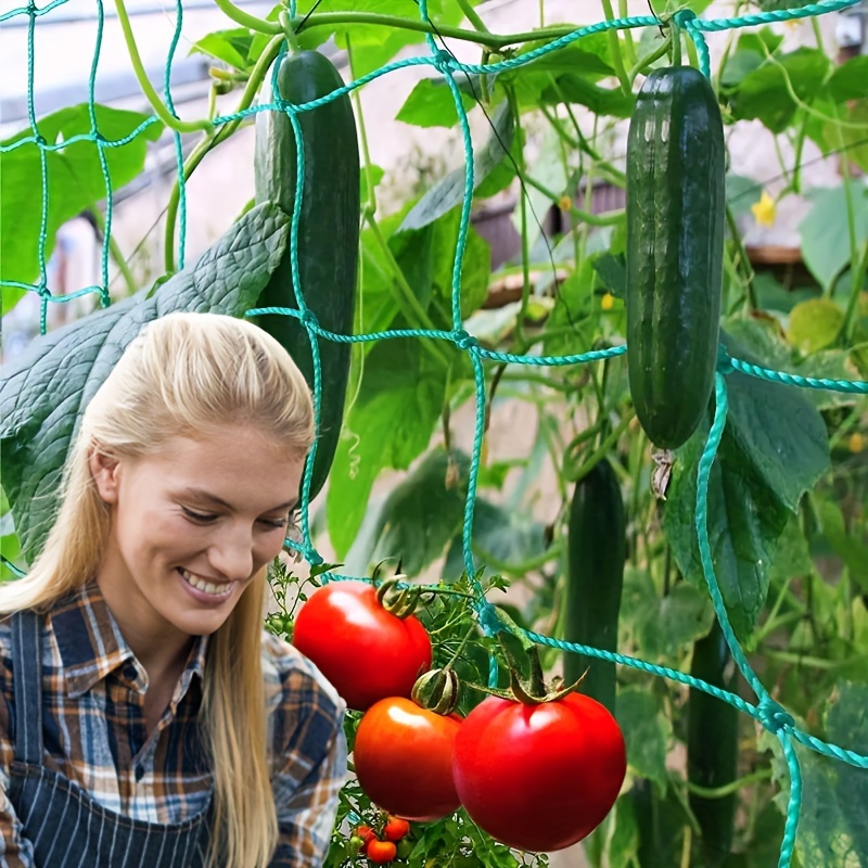 Pe Garden Climbing Plant Netting Heavy duty Flexible Trellis - Temu New ...