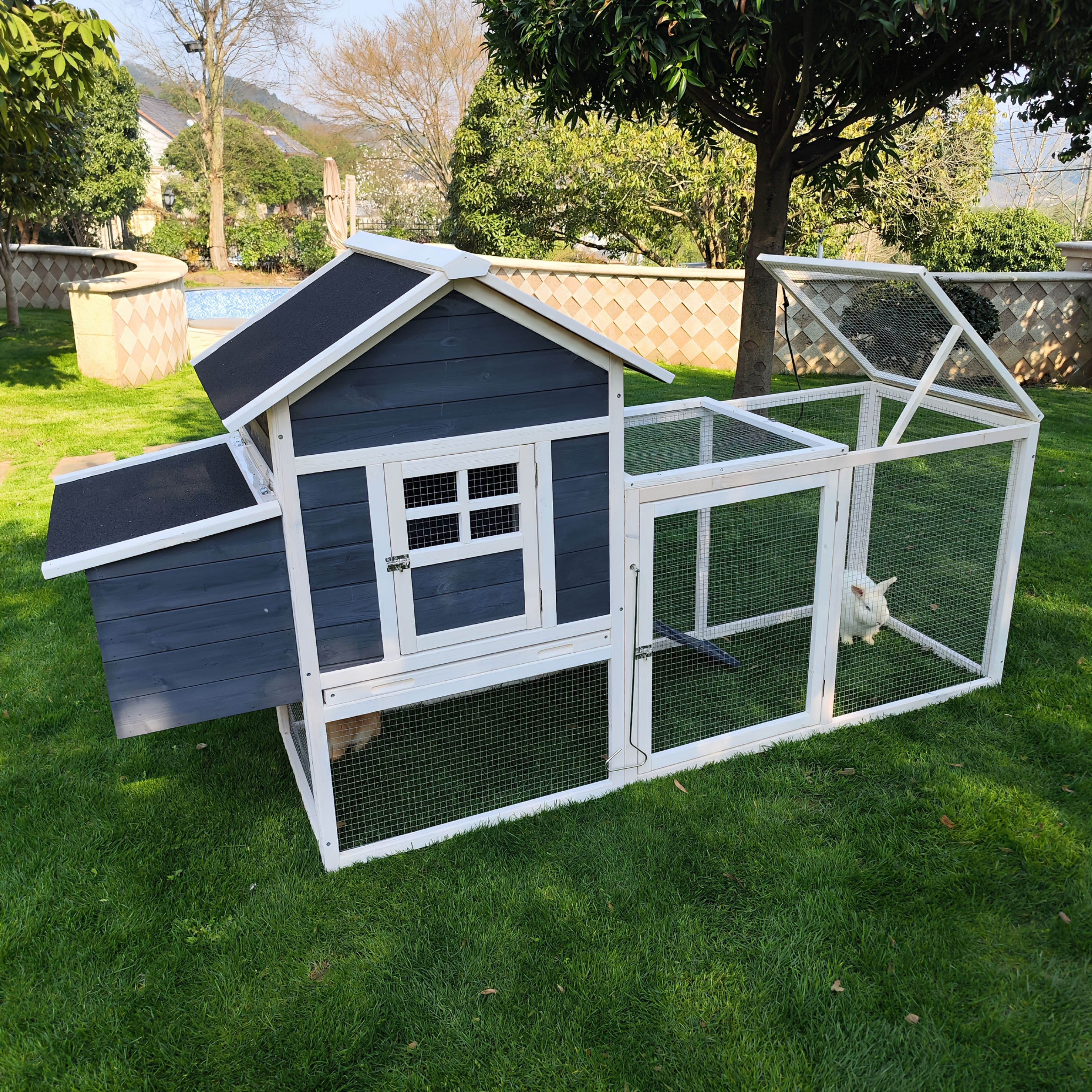chicken coop sold on Temu United States