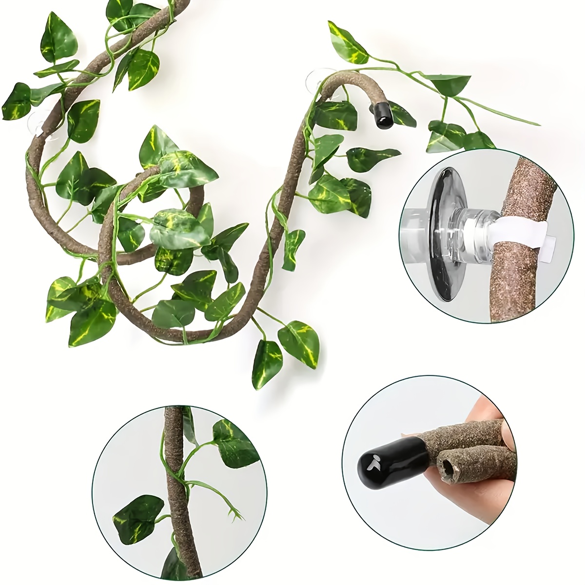 reptile supplies - Qatar