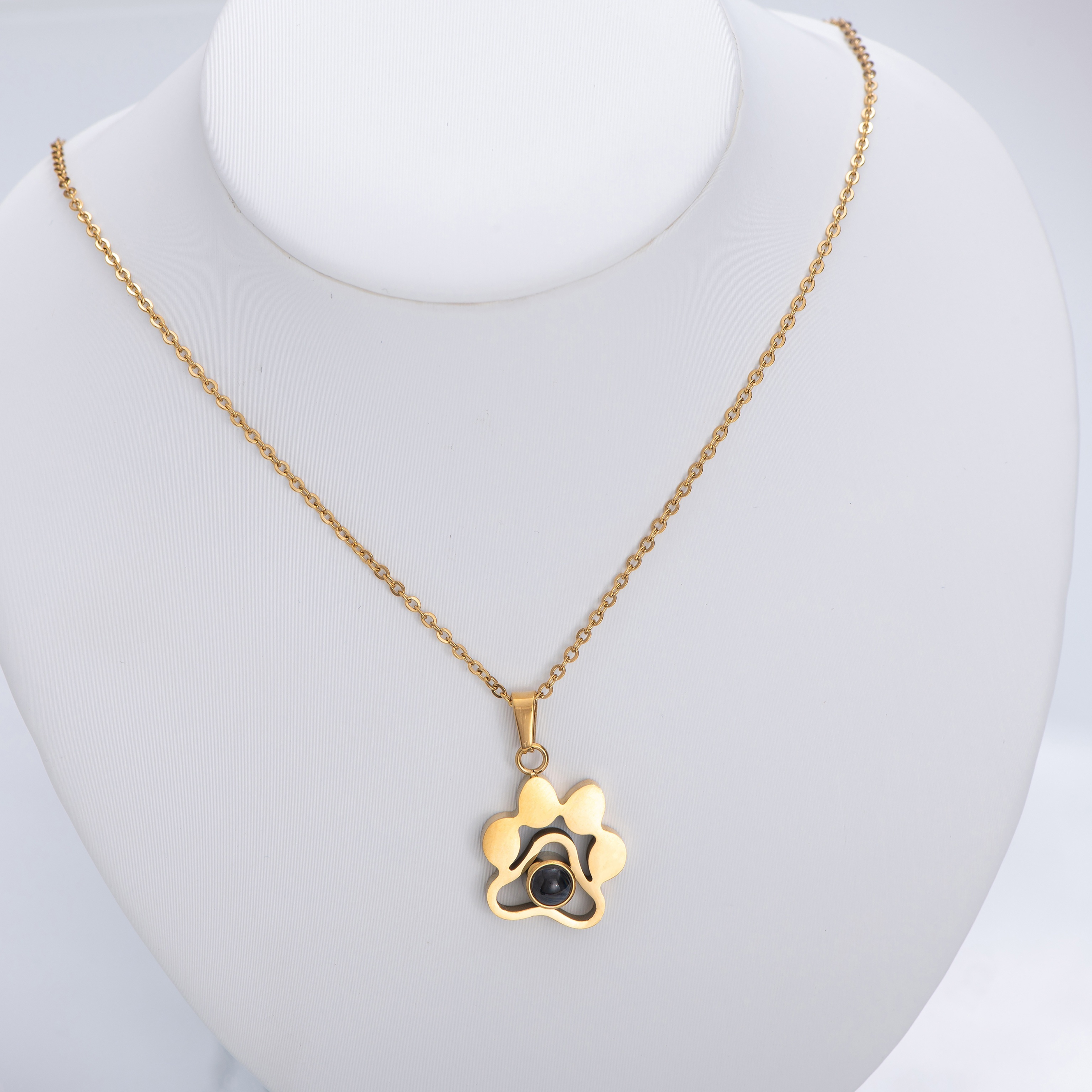 Custom Pet Photo Projection Pendant Necklace Stainless Steel - Temu ...