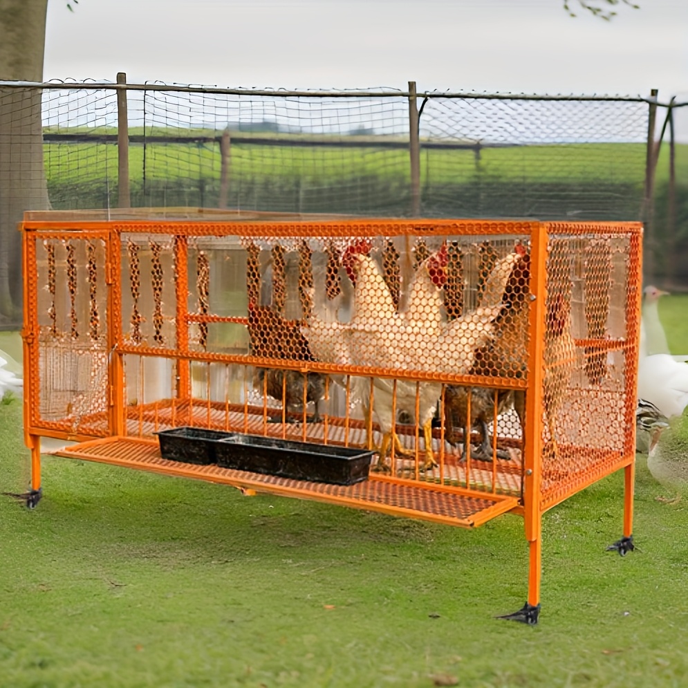 chicken coop sold on Temu United States