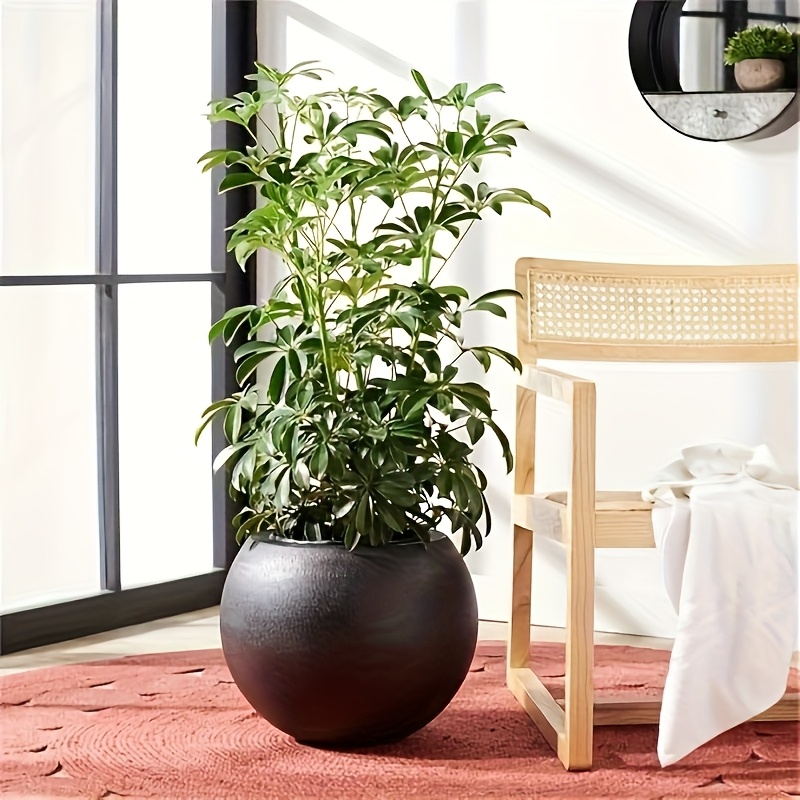 planter pots sold on Temu United States