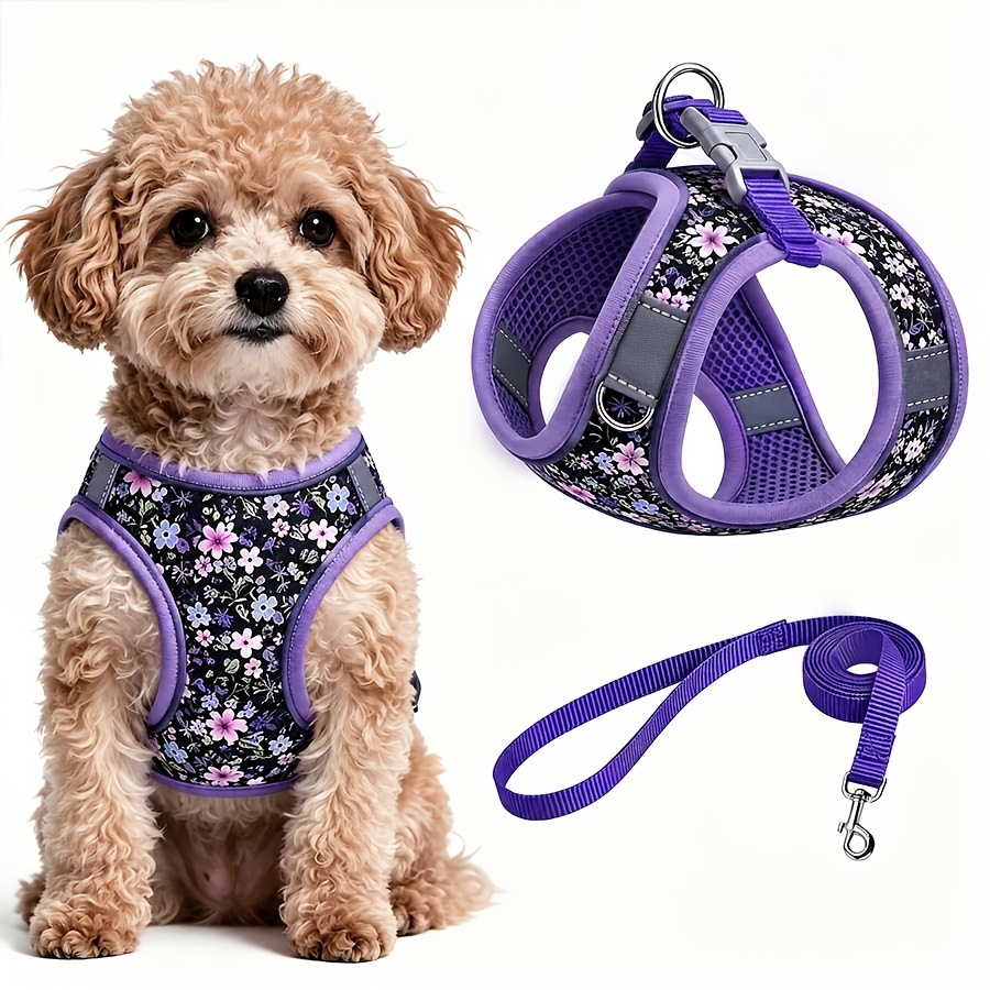 harness dog sold on Temu United States