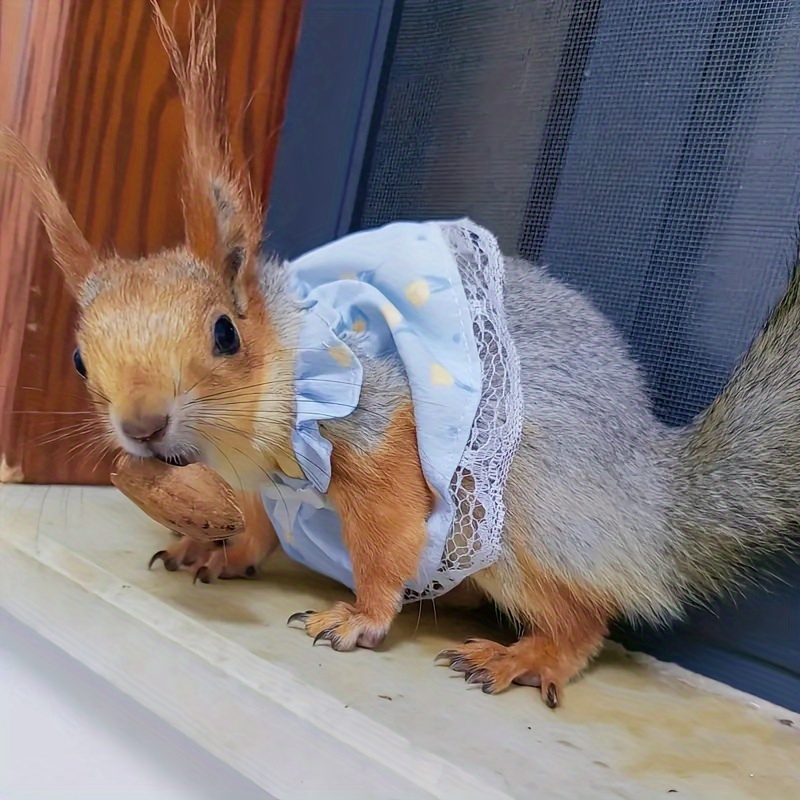 hamster clothes - United Kingdom