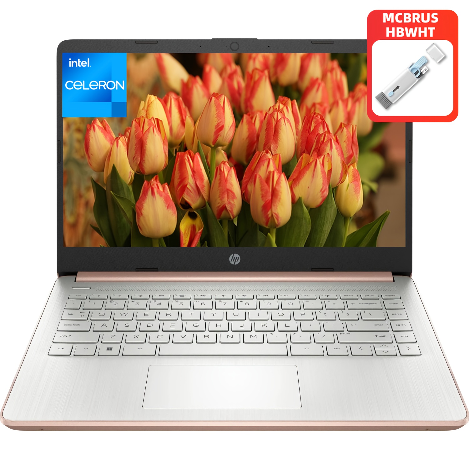 laptop sold on Temu United States