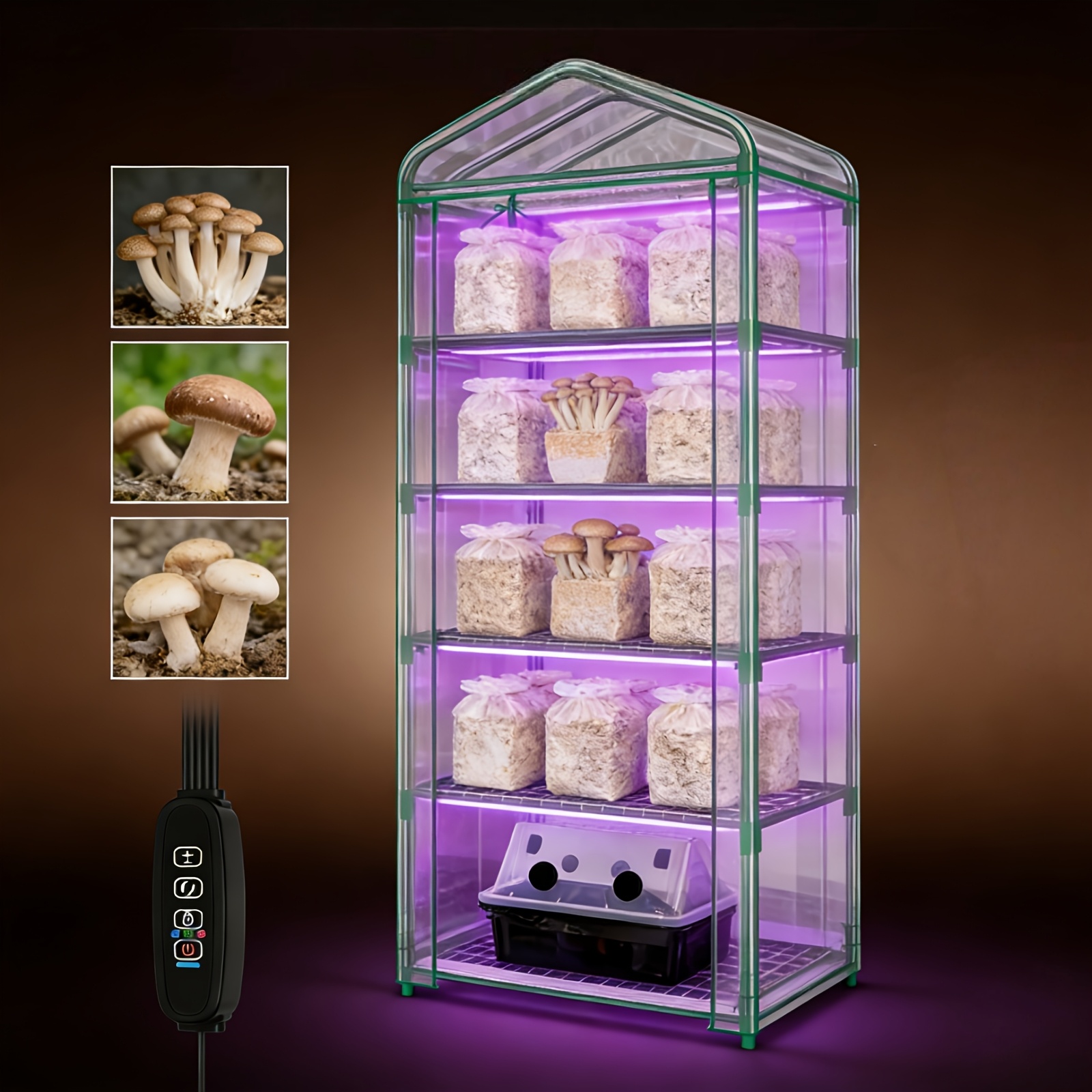 mushroom growing sold on Temu United States