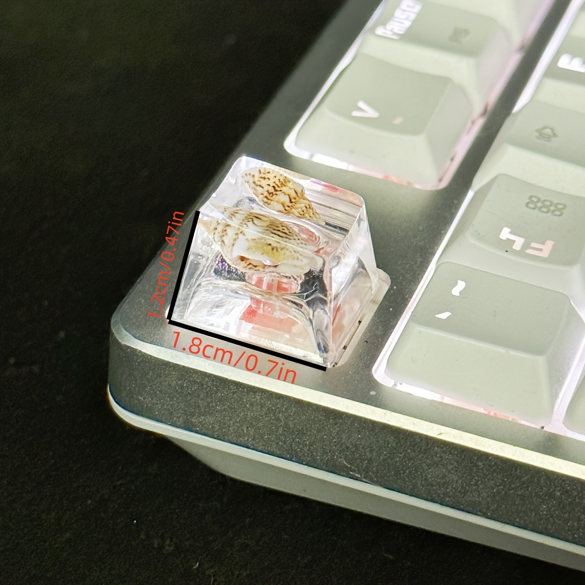 Minimalist Sea Shell Design Abs Keycaps, Oem Profile Mechanical ...