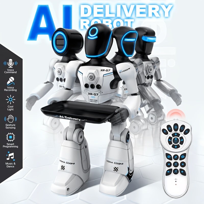 robot sold on Temu United States