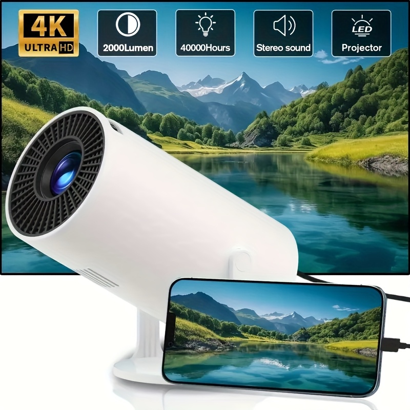 projector sold on Temu United States