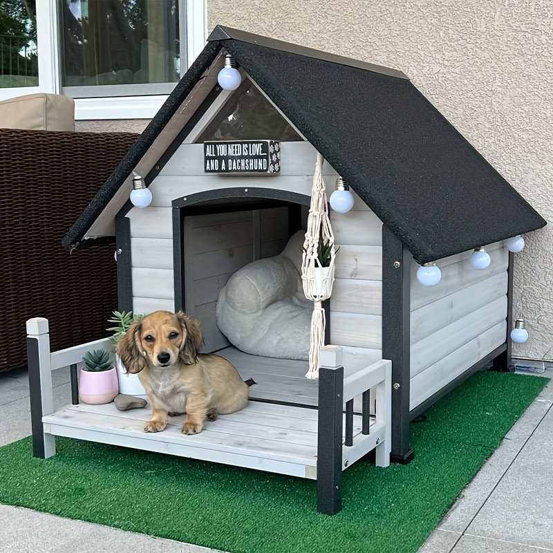 Cute dog houses store