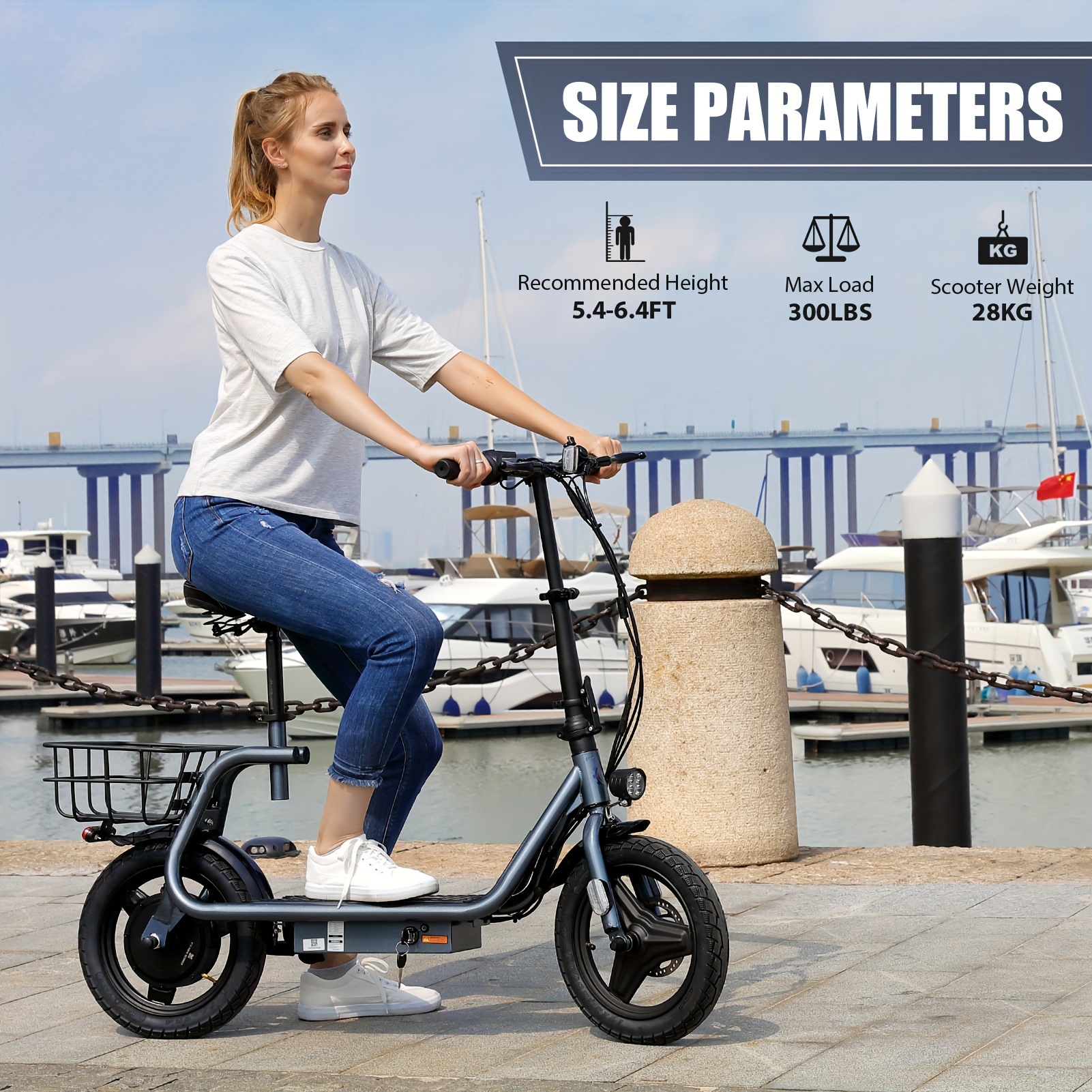 Electric Scooter sold on Temu United States