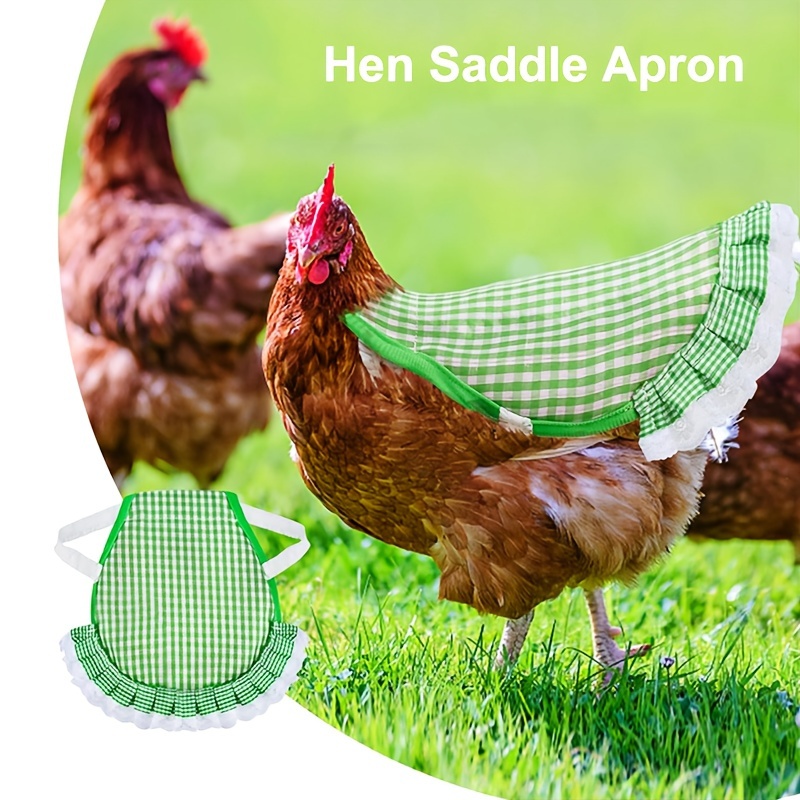 chicken vest - Ghana