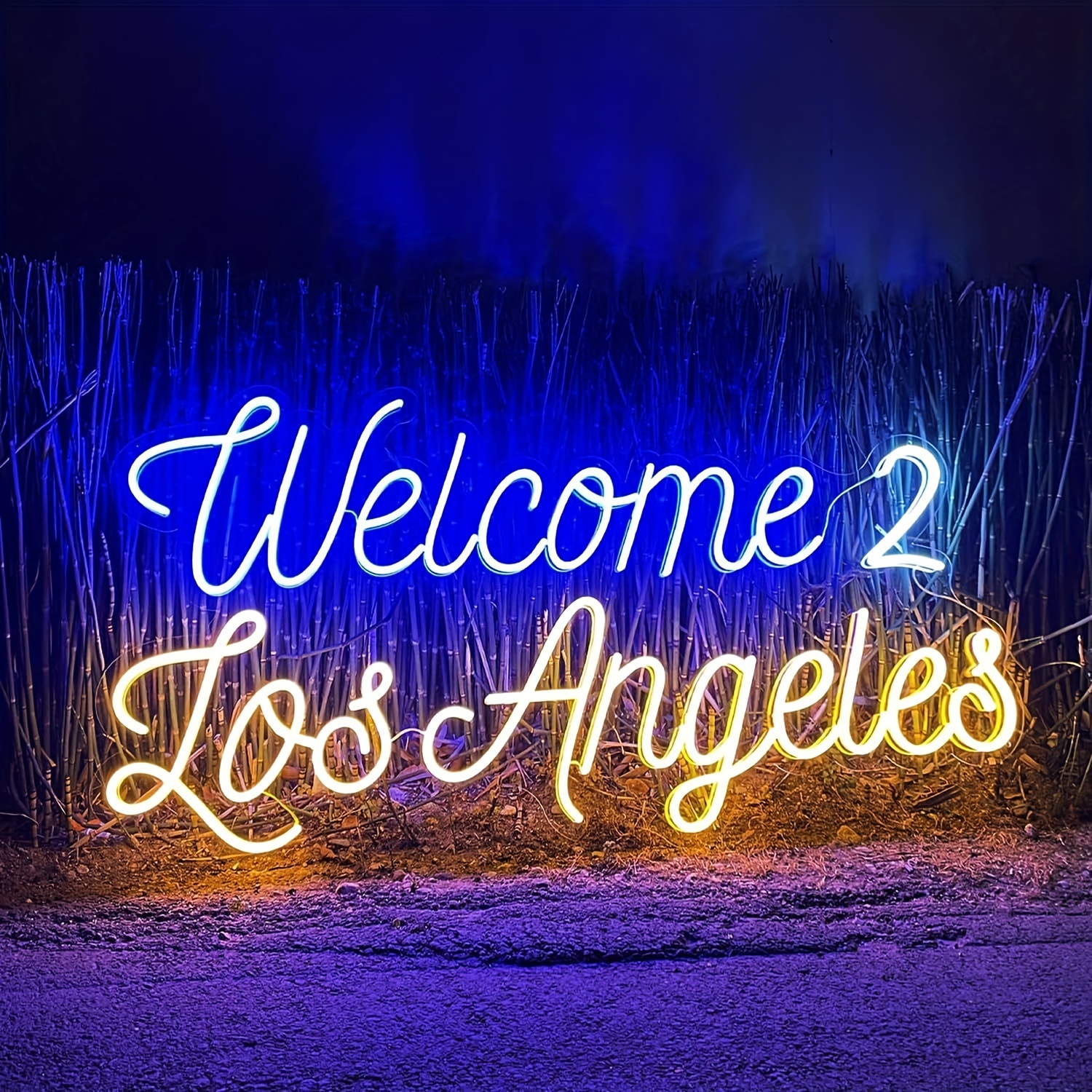 personalised neon signs sold on Temu United States