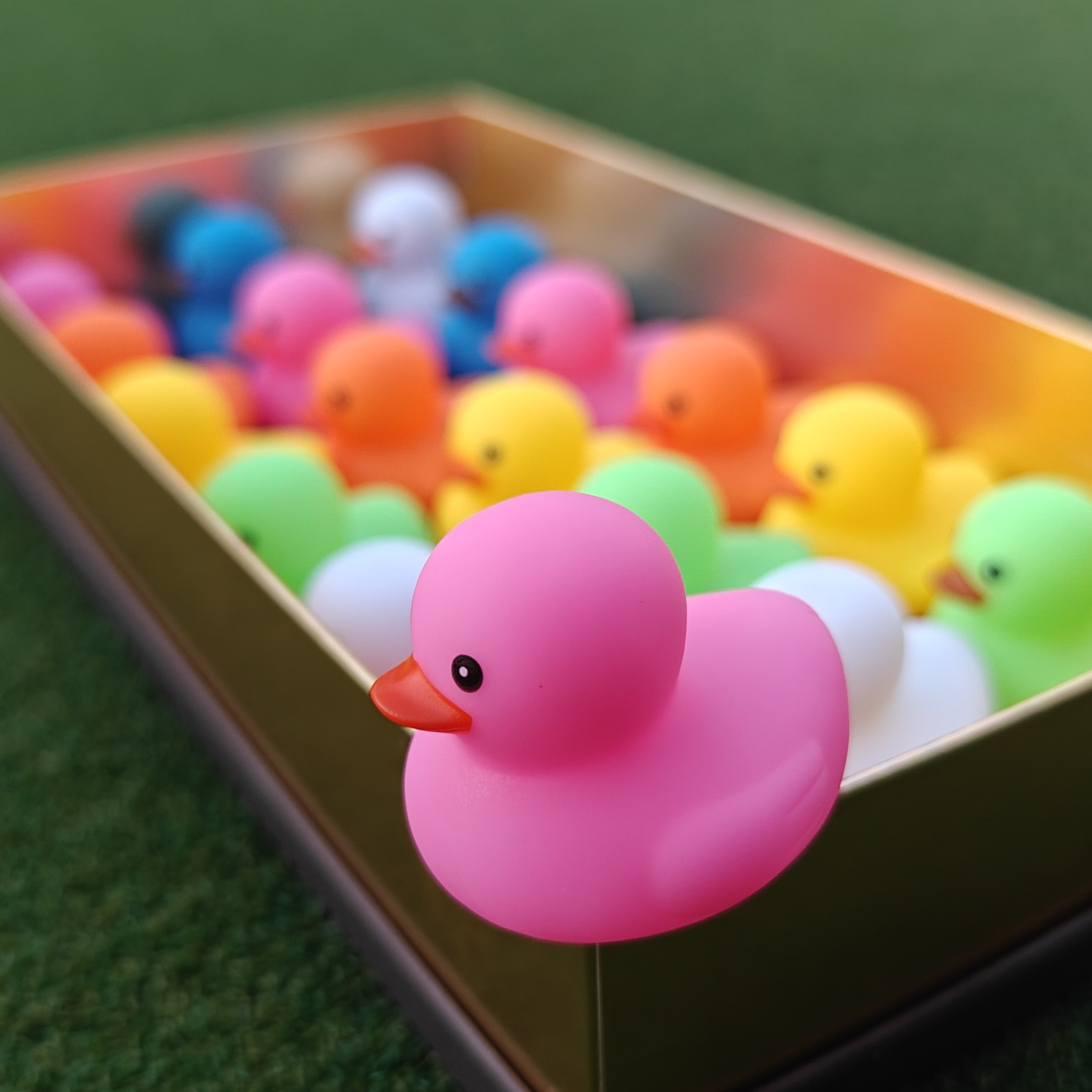 Bunte Gummienten Vier Bunte Gummi Enten Eine Familie Von Enten Gelb