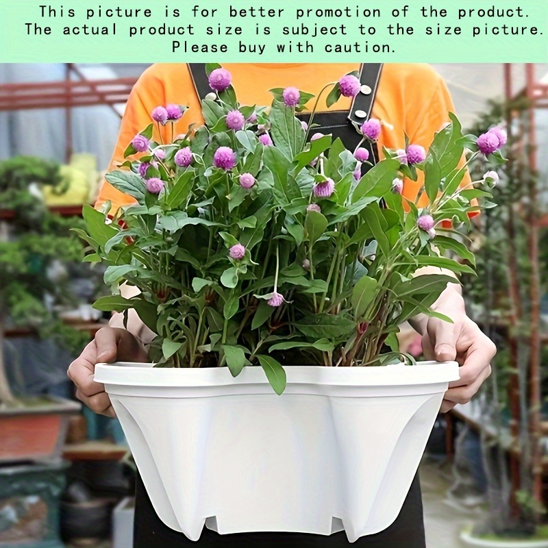 Veg Trug Herb Planter | Free shipping on items shipped from Temu | Temu