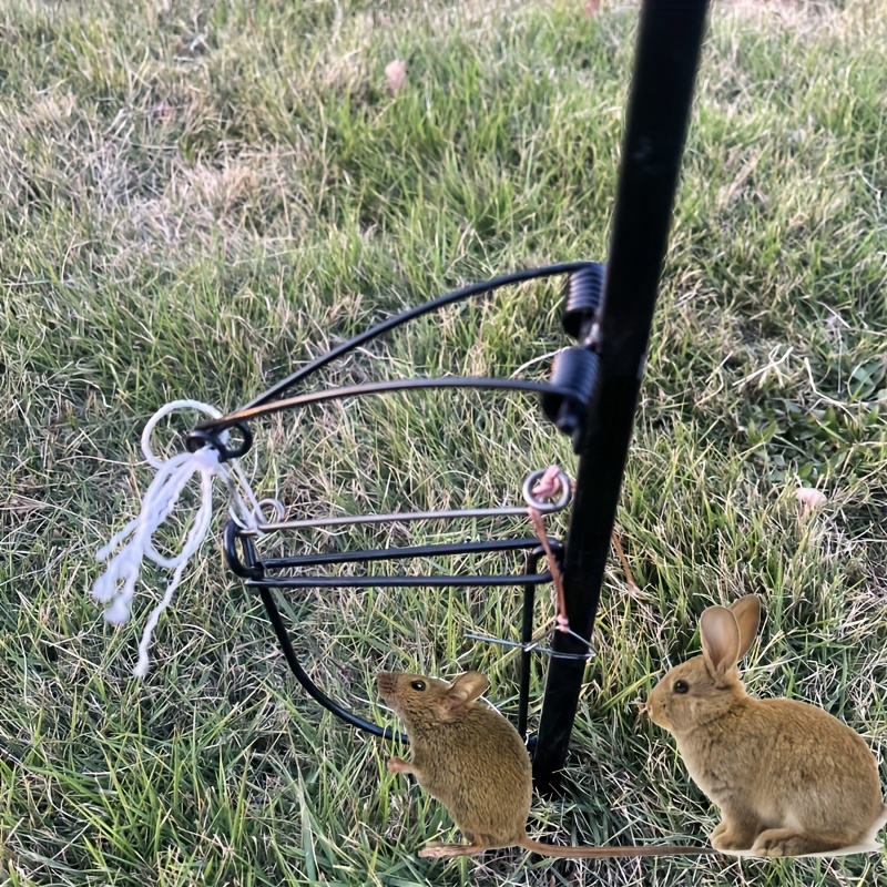 traps for hunting - Ghana
