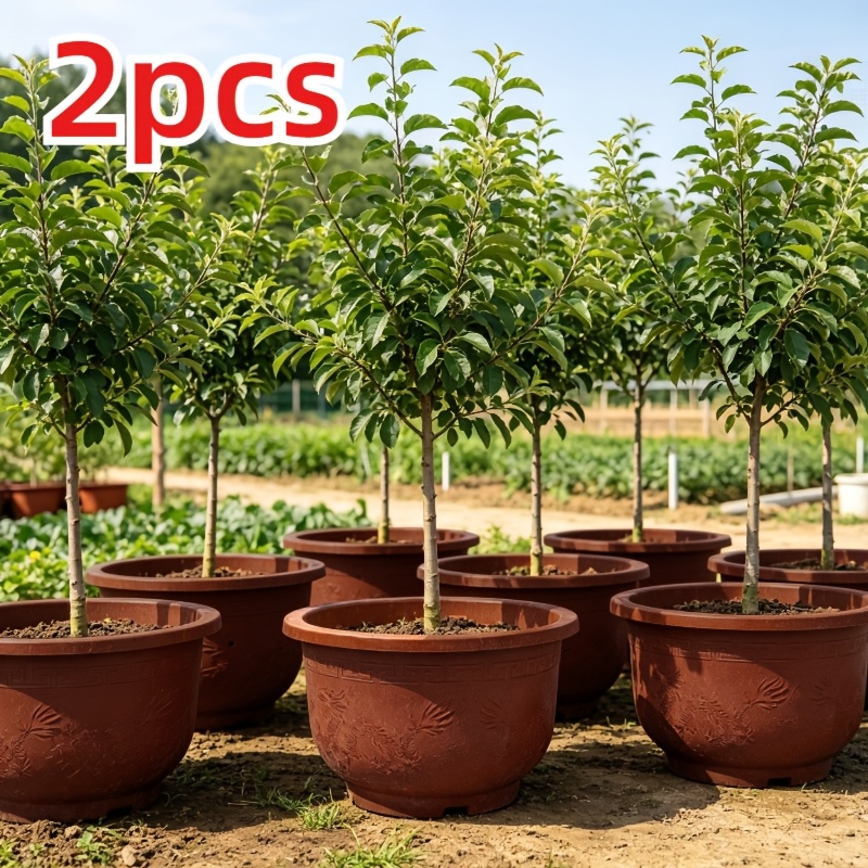 extra large pots for outdoor plants sold on Temu United States