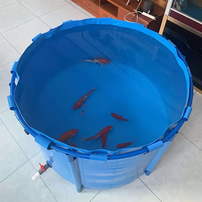 Indoor Outdoor Koi Pond