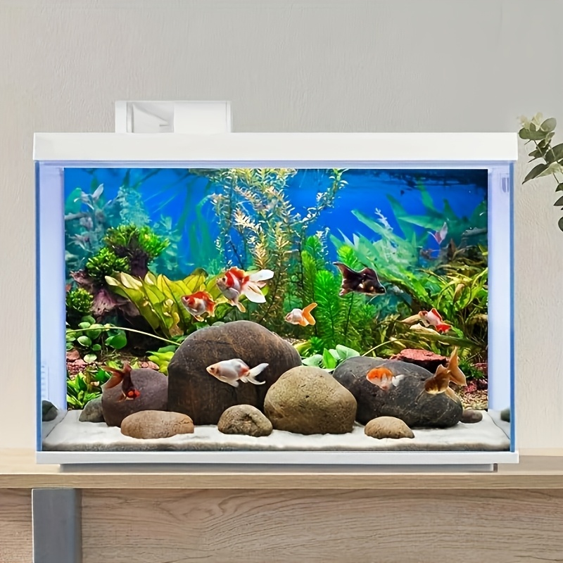 Fish Tank Backgrounds Printable