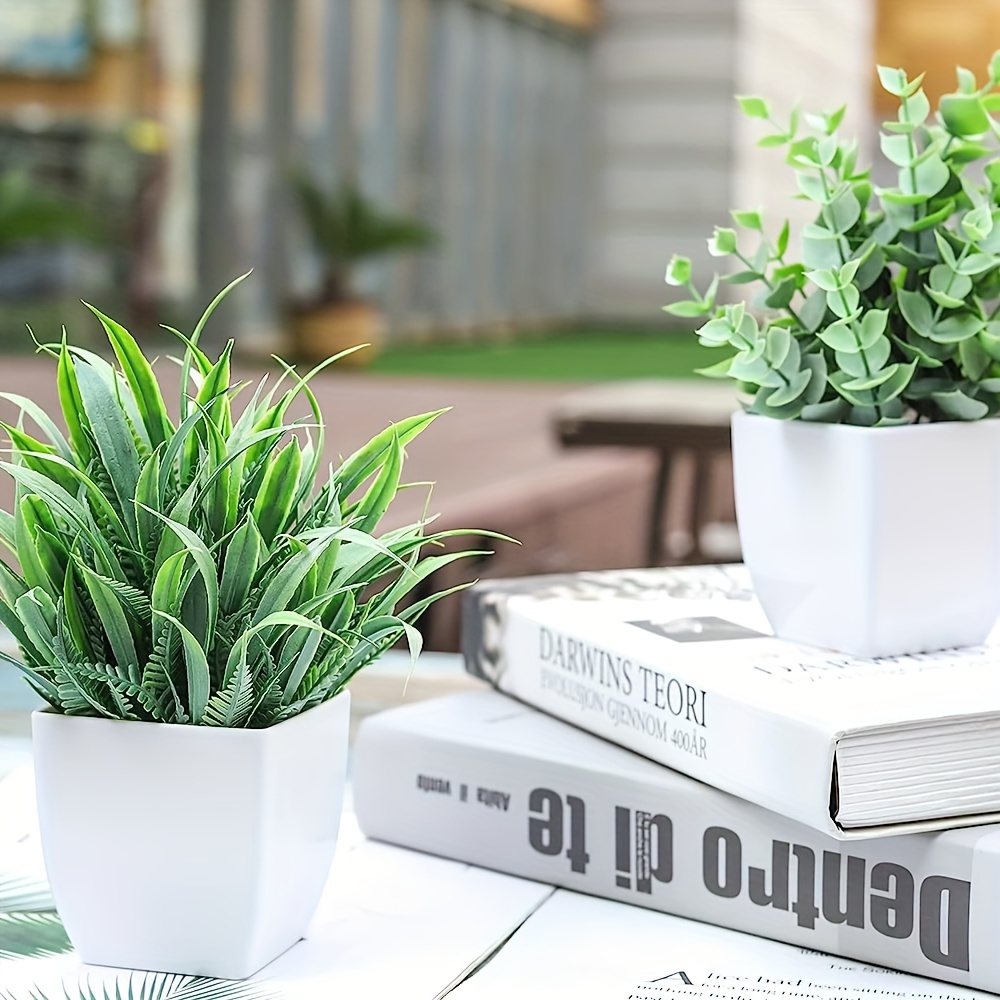 Mini table plants store