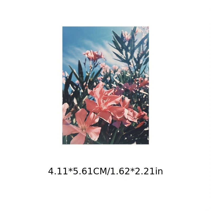 52pcs Non Repeating For Decorating Luggage Phone Cases Notebooks Water ...