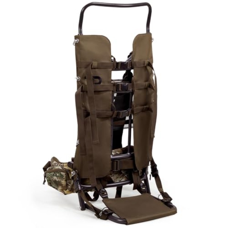 frame backpack sold on Temu United States