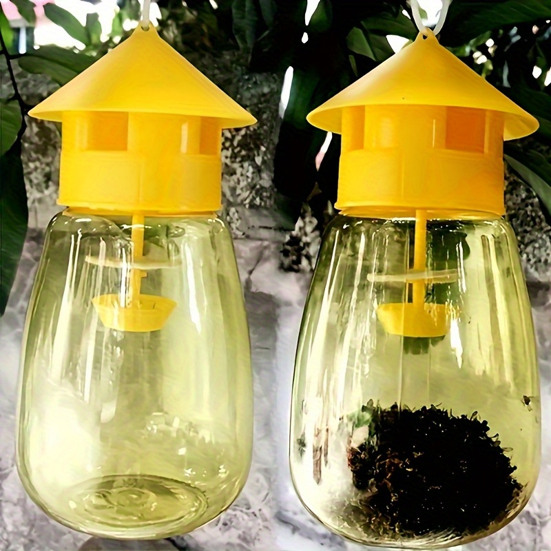 fly traps outdoor - Ghana