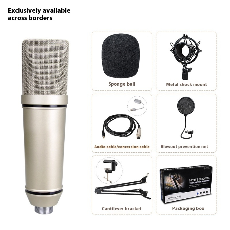 microphones sold on Temu United States