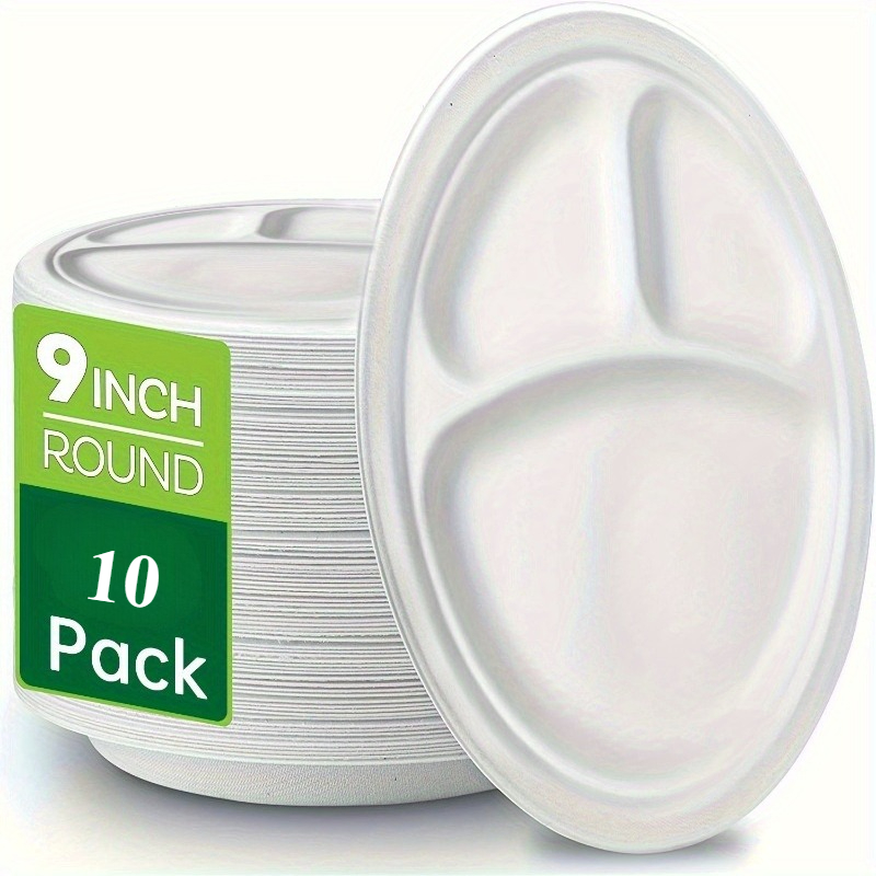 paper party plates sold on Temu United States