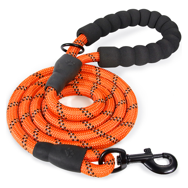 Reflective Dog Leash Comfortable Padded Handle Ideal - Temu Australia