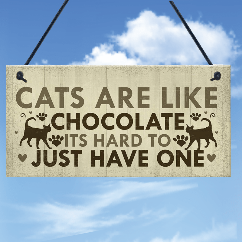 Hanging Sign Funny Cats Signs" Cats Like Chocolate Hard One - Temu