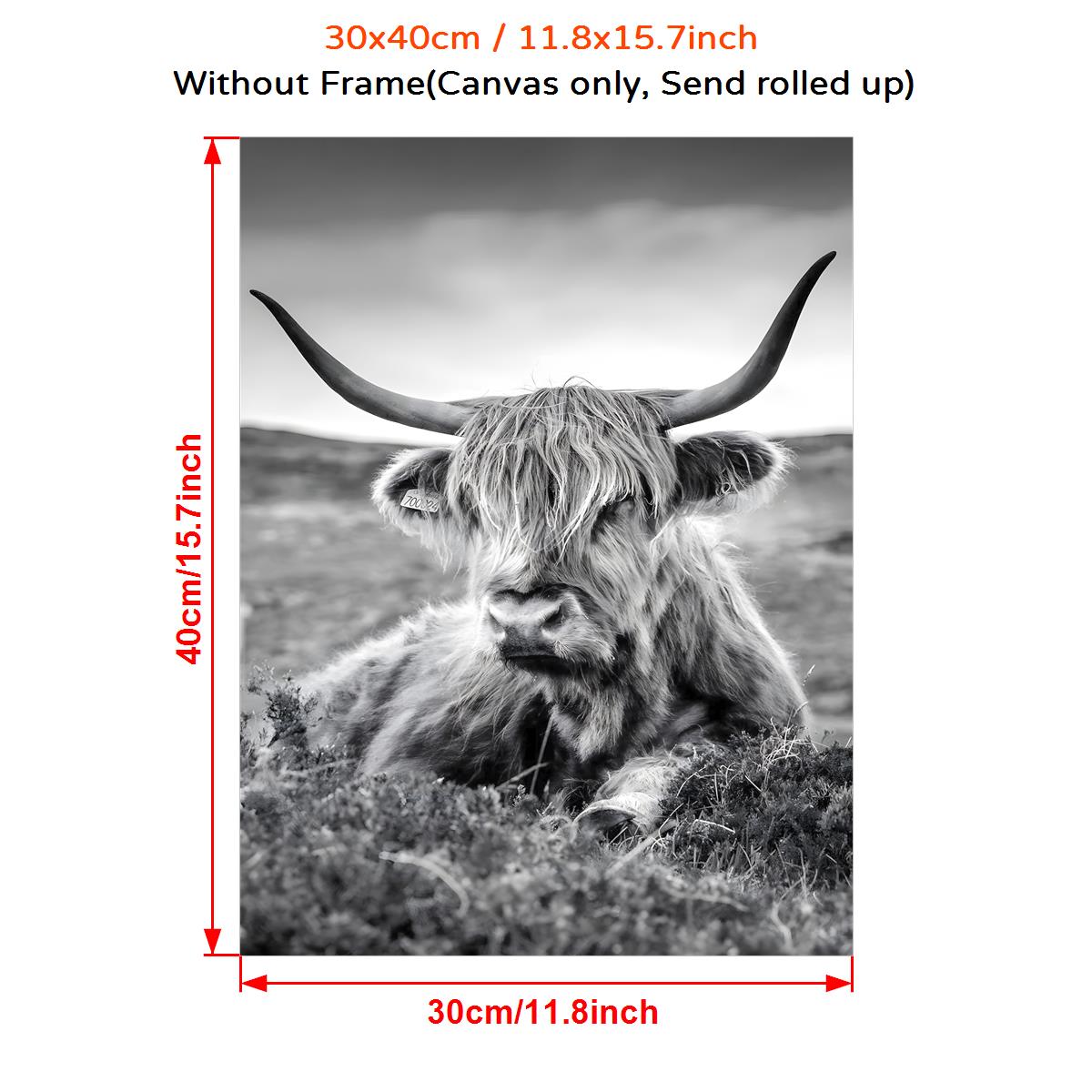 1pc Frameless Canvas Painting Black And White Landscape Highland Cow ...