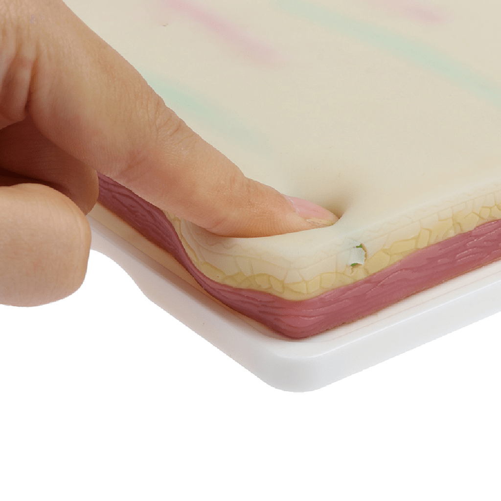 Venipuncture Iv Injection Training Pad Model Silicone Human - Temu ...