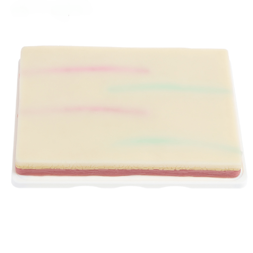 Venipuncture Iv Injection Training Pad Model Silicone Human - Temu ...