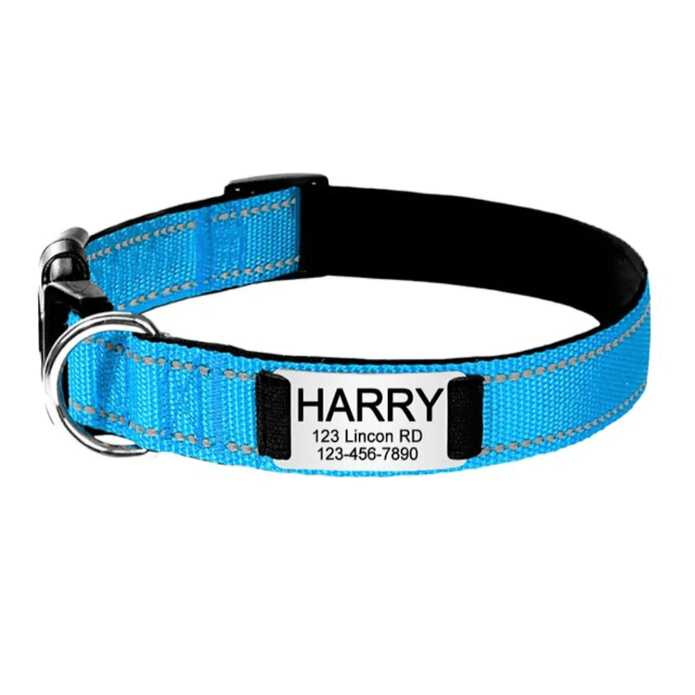 collier personnalisé lettrage réfléchissant plaque - Temu France