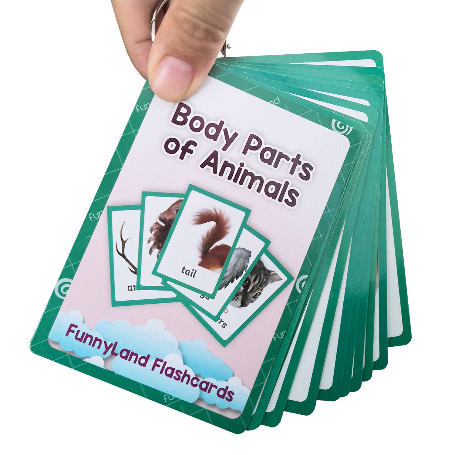 12 Cards Animals Body Parts Kids Early Learning English - Temu Poland