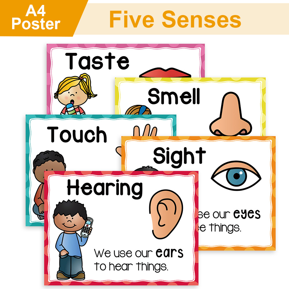 Five Senses Big Flashcards Posters Classroom Decoration - Temu