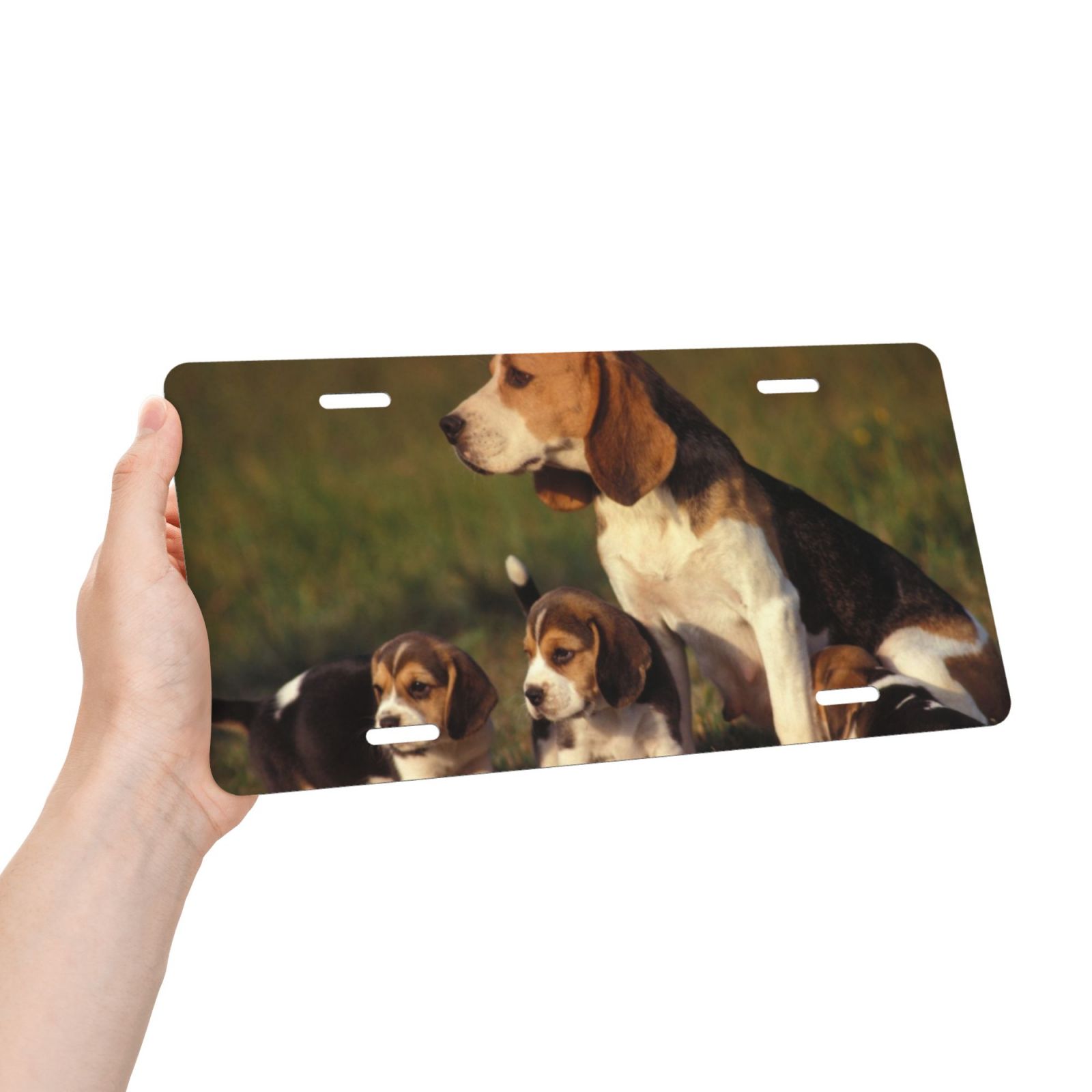 dog puppy grass sit pattern aluminum metal license plate car tag ...