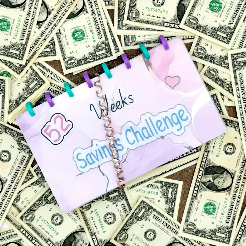 100 Envelope Challenge Book Savings Binder 52 Weeks Savings Temu New