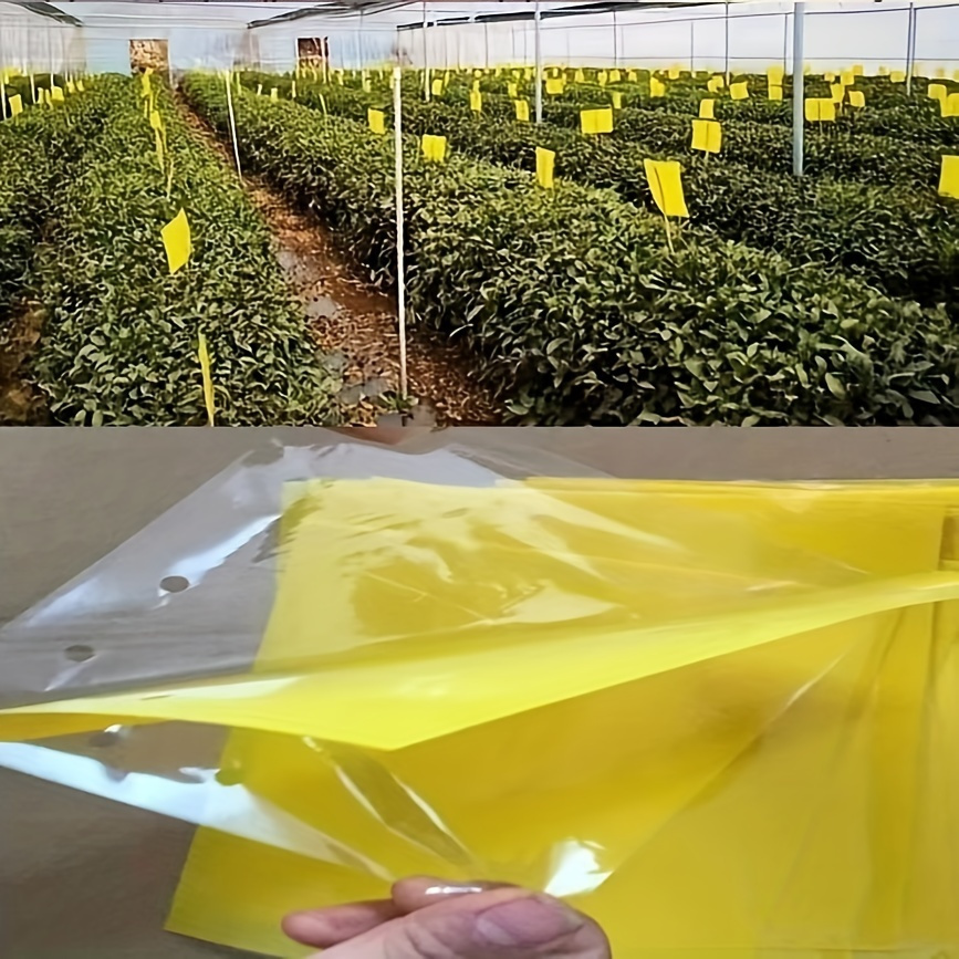 Outdoor Waterproof Insect Catcher Trap Repels Insects Aphids - Temu ...