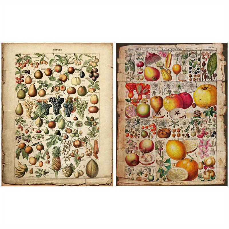 Plant Pages Material Paper Retro Insect Journal Background - Temu