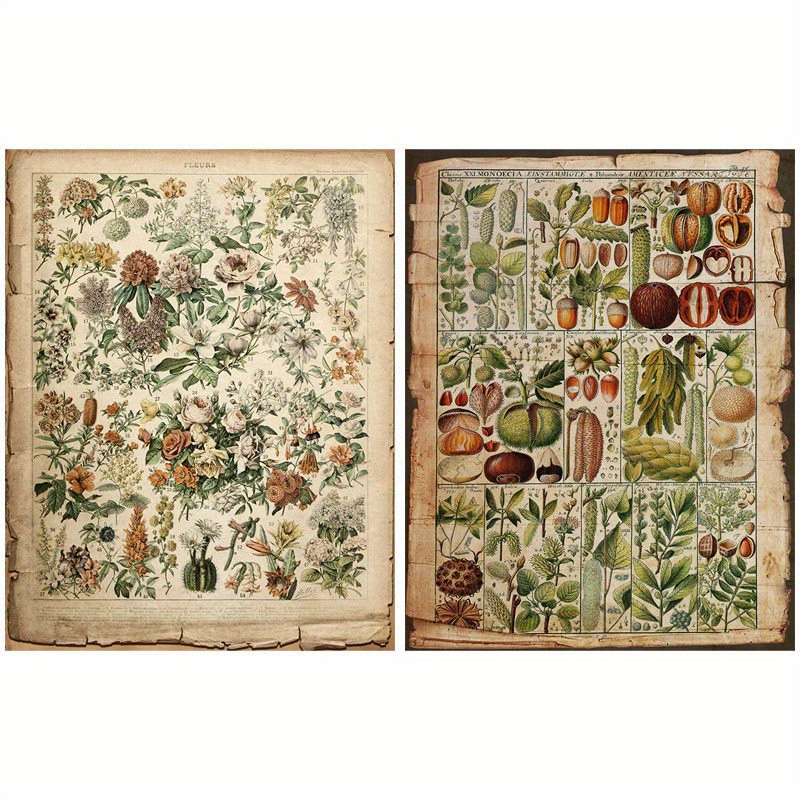 Plant Pages Material Paper Retro Insect Journal Background - Temu