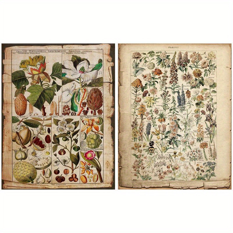 Plant Pages Material Paper Retro Insect Journal Background - Temu